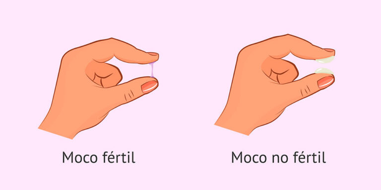 moco_fertil - Test embarazo