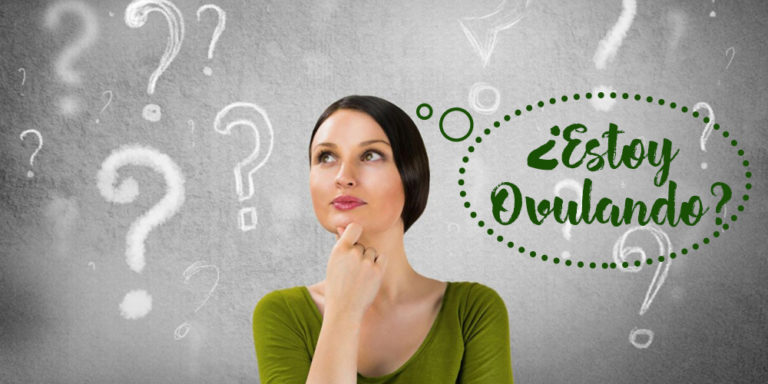 ¿Estoy Ovulando? Todo sobre ovulación - Test embarazo